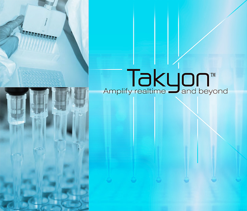 Takyon™ DNA聚合酶