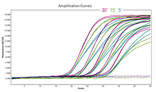 Takyon™ DNA聚合酶