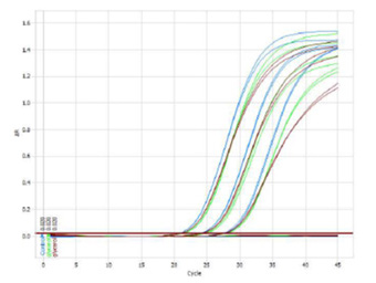 Takyon™ DNA聚合酶