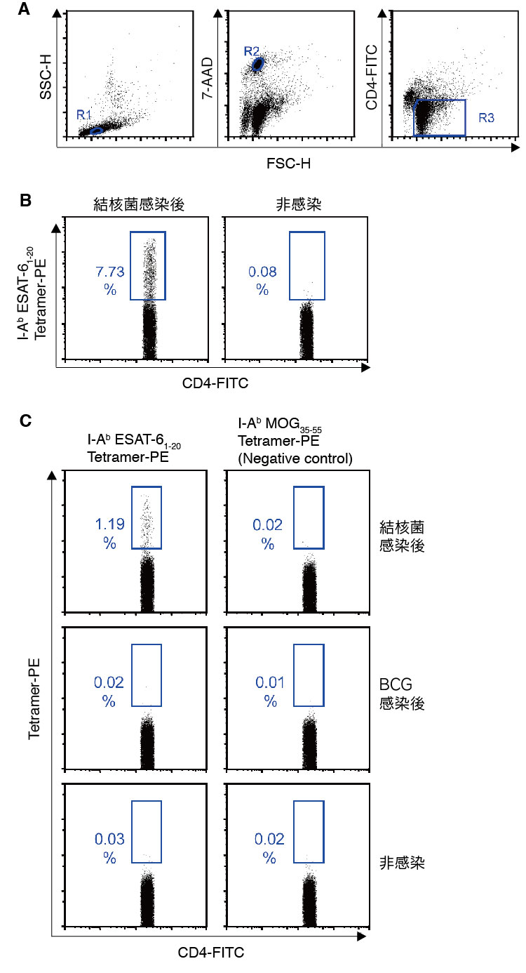 北京博尔迈生物技术有限公司