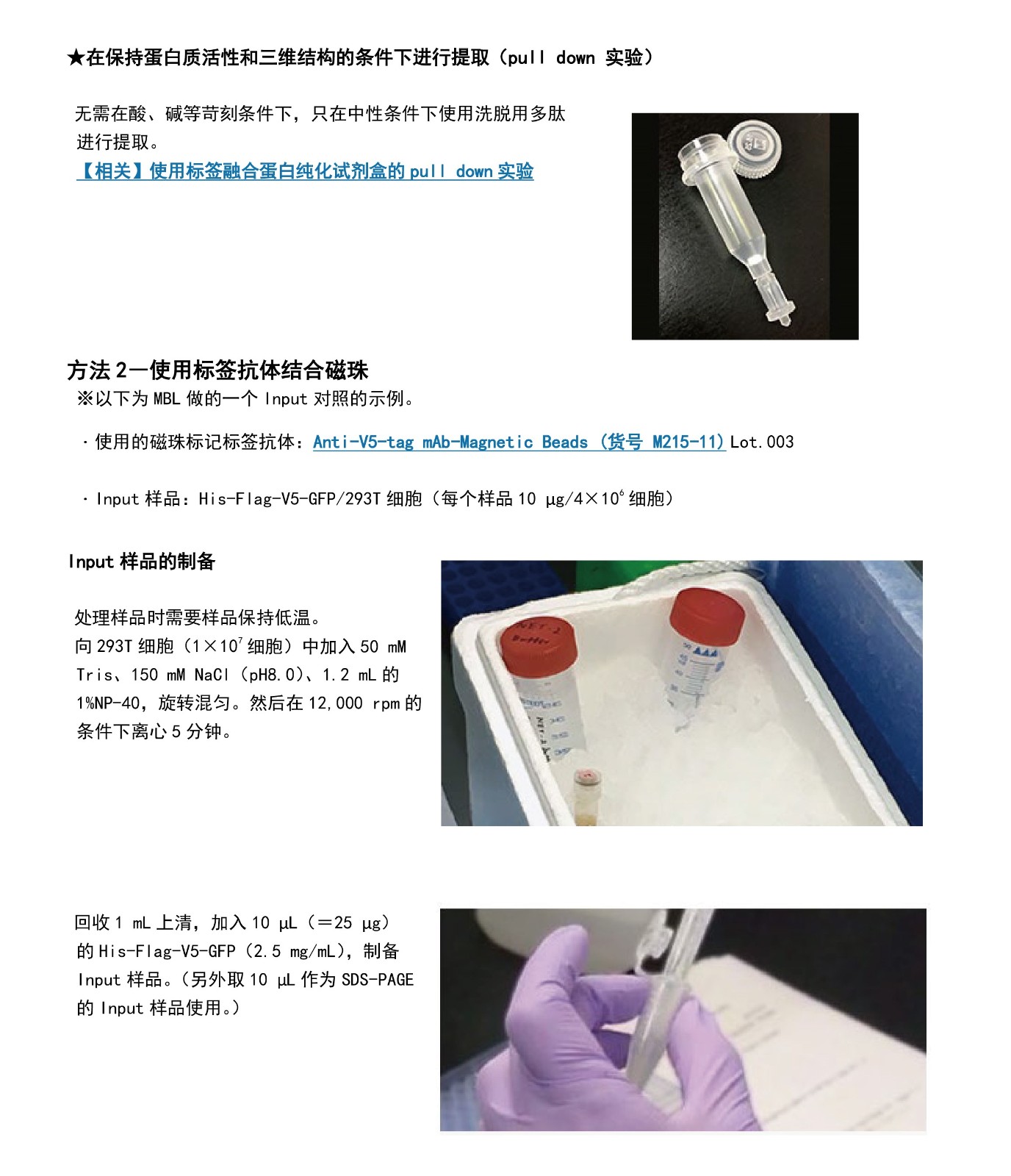 北京博尔迈生物技术有限公司